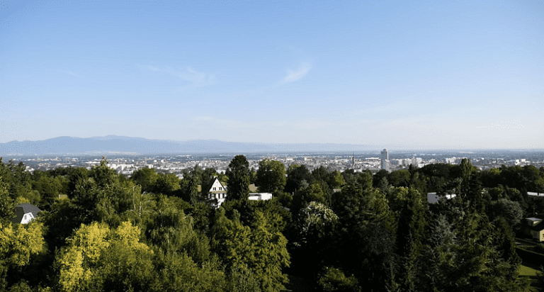 Rebberg_panoramique-vue-mulhouse - Desaulles